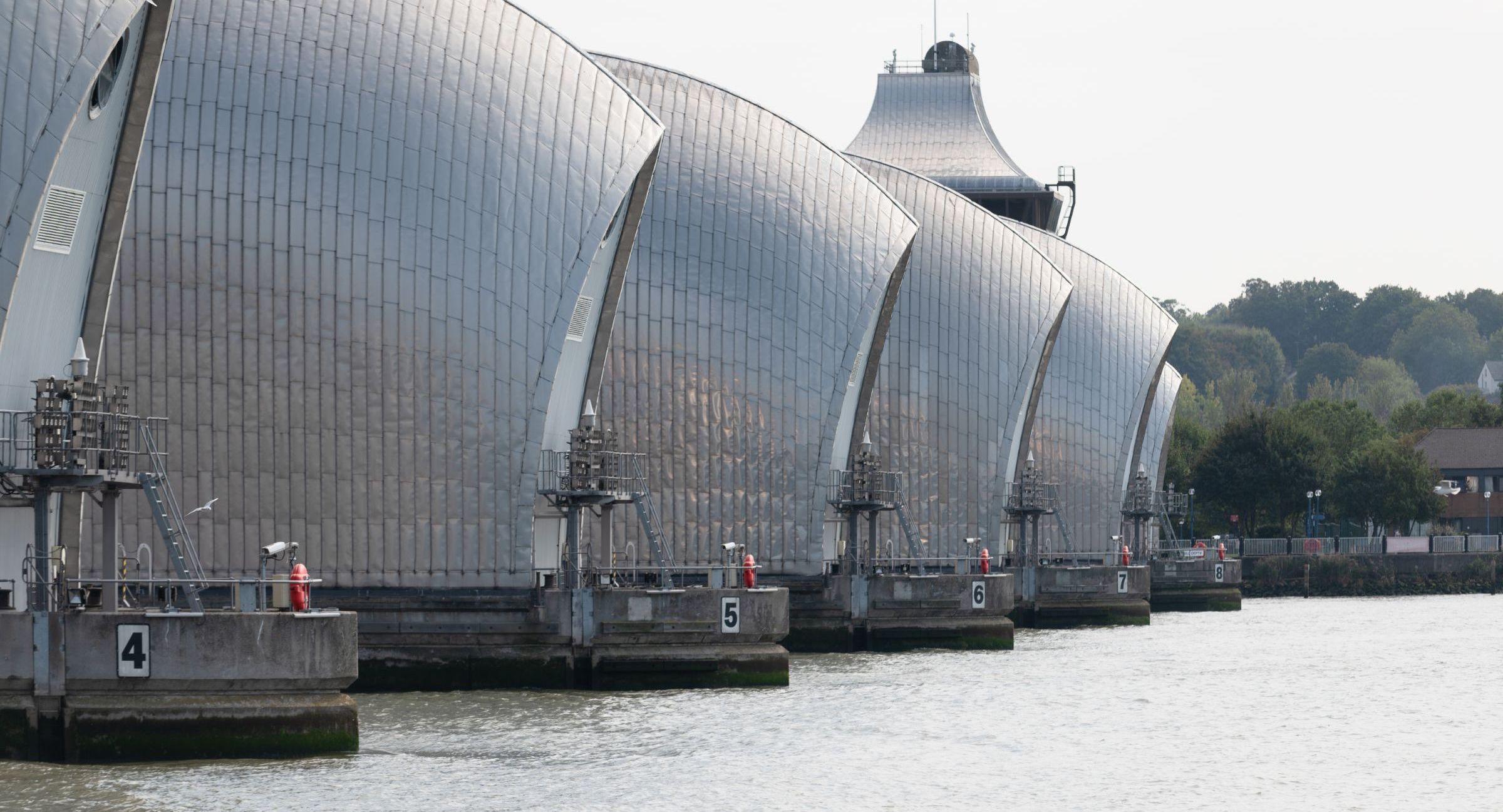 Royal Docks businesses sign up to the Community Wealth Building Pledge ...