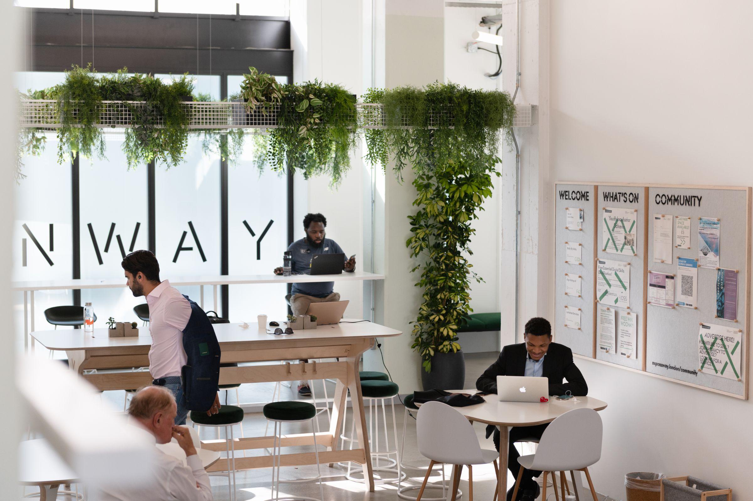 Royal Docks draws a diverse office crowd with its unique workspaces ...