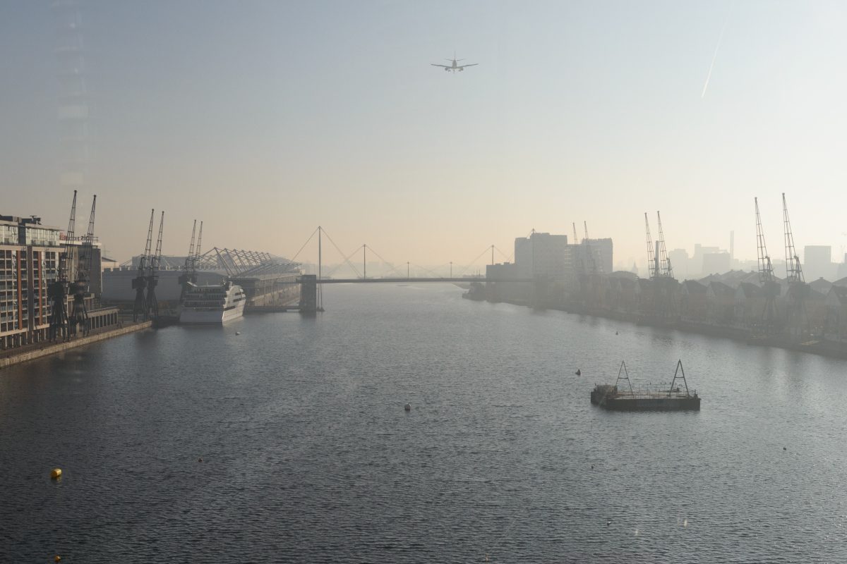 What do we know about environmental pollution around the Royal Docks ...